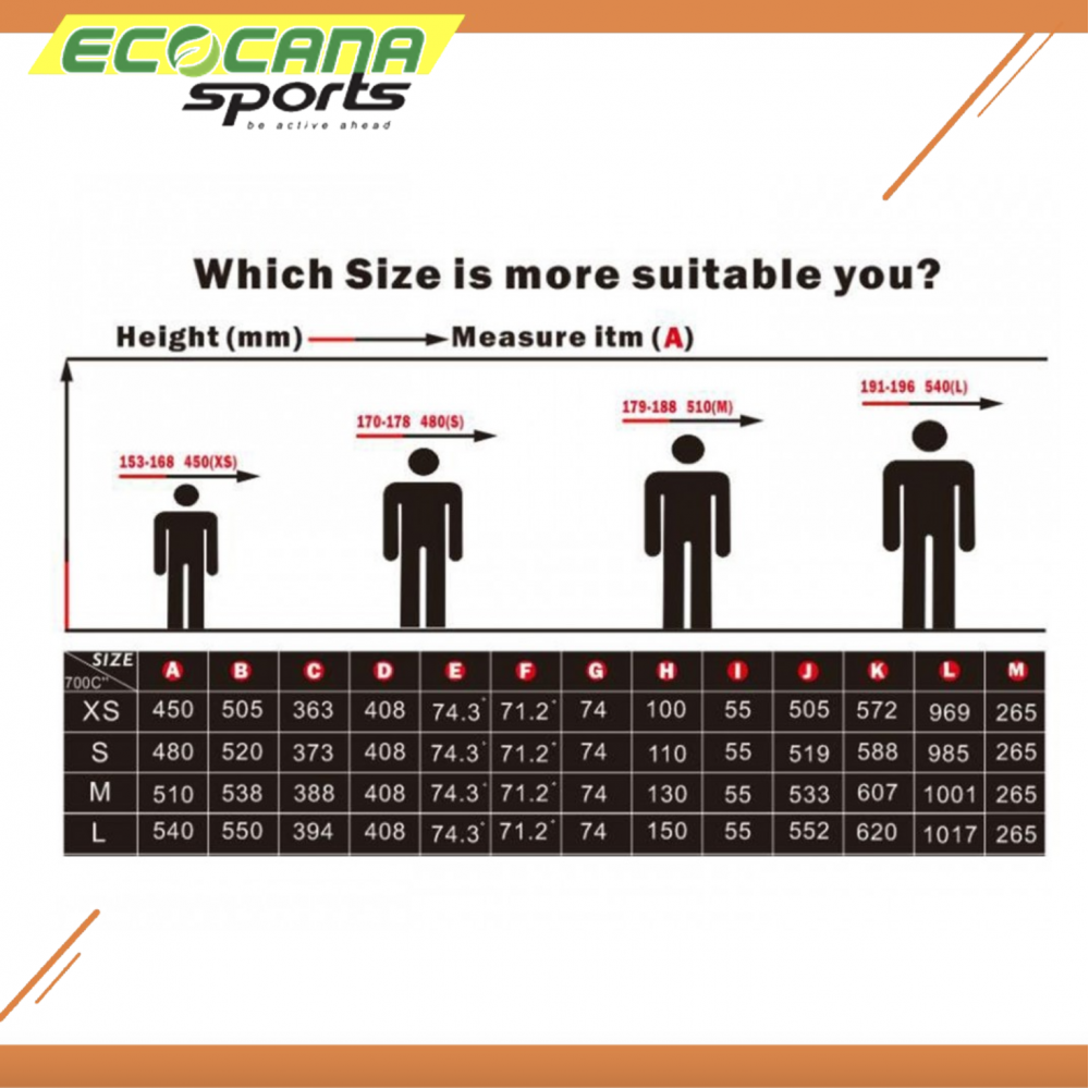 Twitter Stealth Pro Disc RS22 Carbon Road Bicycle (48cm) Speed 22