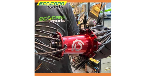 Berd Spokes - The World's Lightest